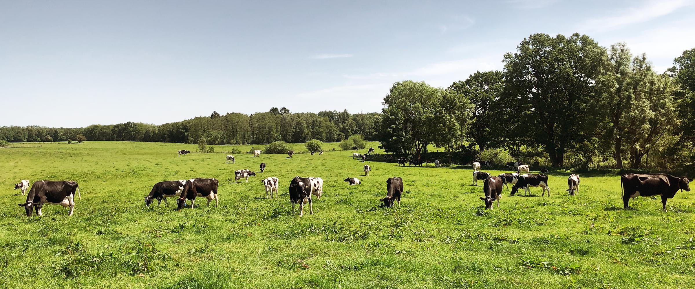 Arla® BIO | Arla Foods