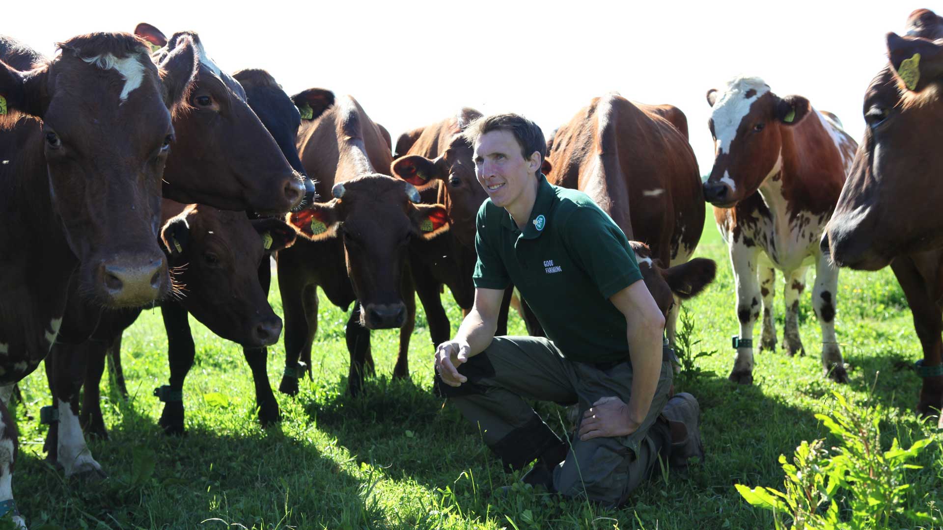 Arla Farmers Login Arla Farmers Login